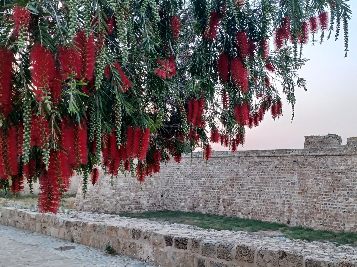 A Postcard from Northern Cyprus: Famagusta/Gazimagusa – HopsSkipsandJumps
